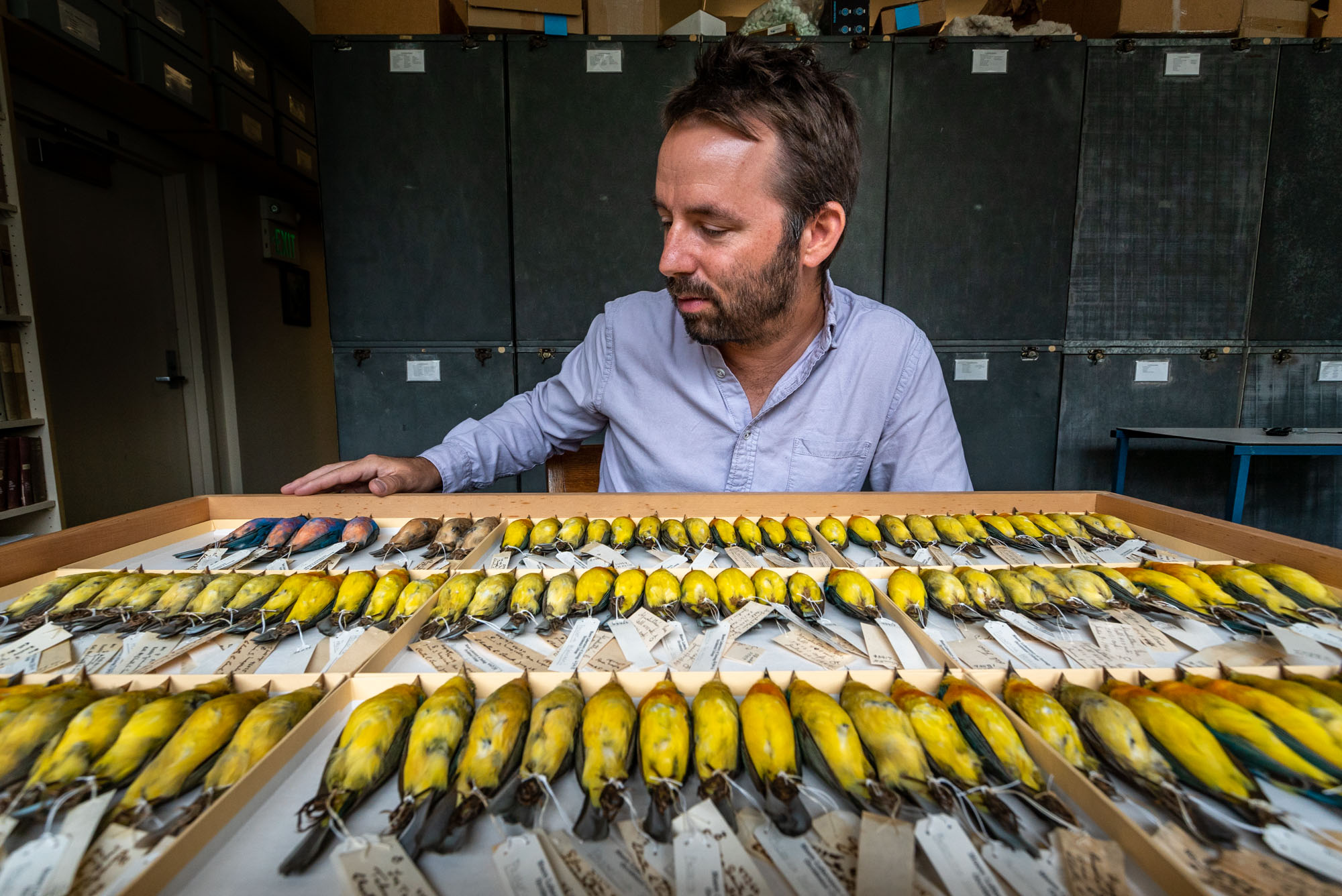 Meet the Team | The Moore Lab of Zoology | Occidental College